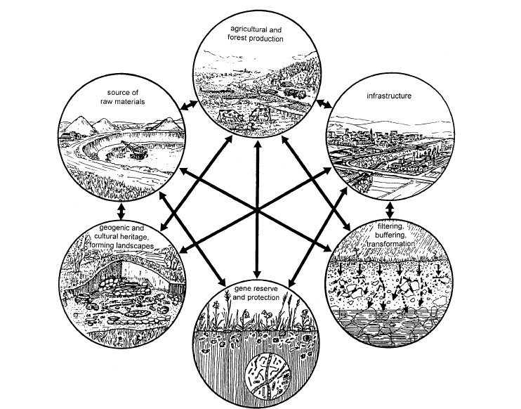 Land degradation: A creeping danger – Eco-intelligent