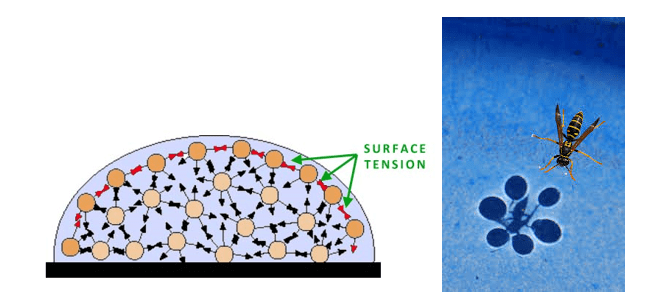 About Water-Why is it so important and what makes it so special? – Eco ...