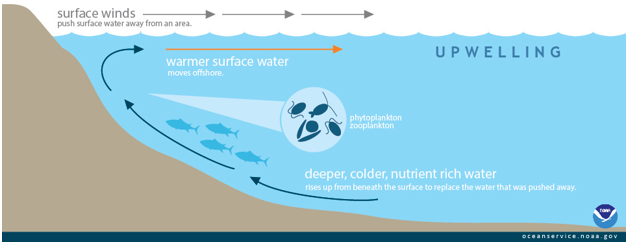 How do oceans determine regional climatic conditions-Part II – Eco ...