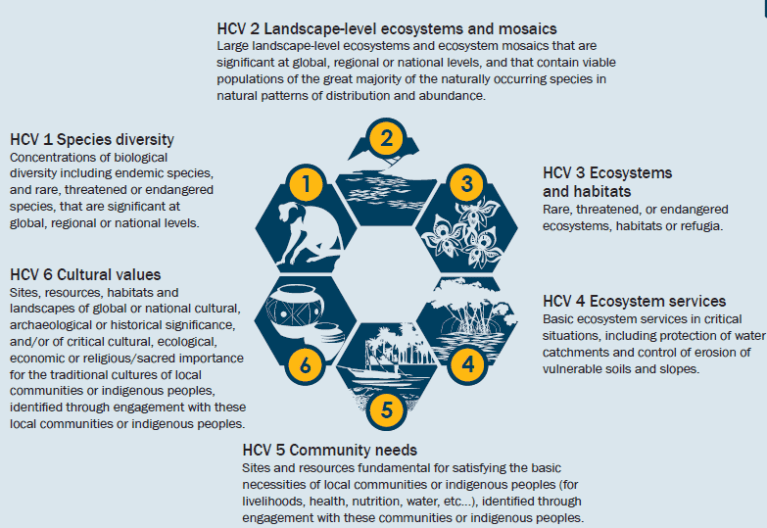 High Conservation Value Areas: All you need to know – Eco-intelligent