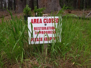 An introduction to restoration ecology: Can it combat environmental ...