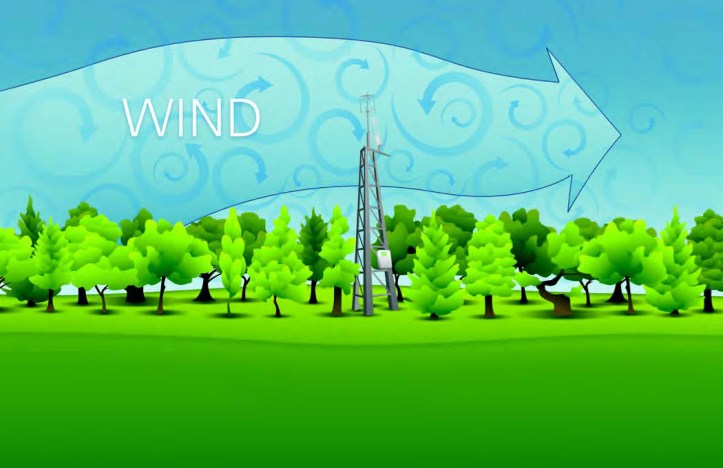 Pools and fluxes in ecosystems – Eco-intelligent™