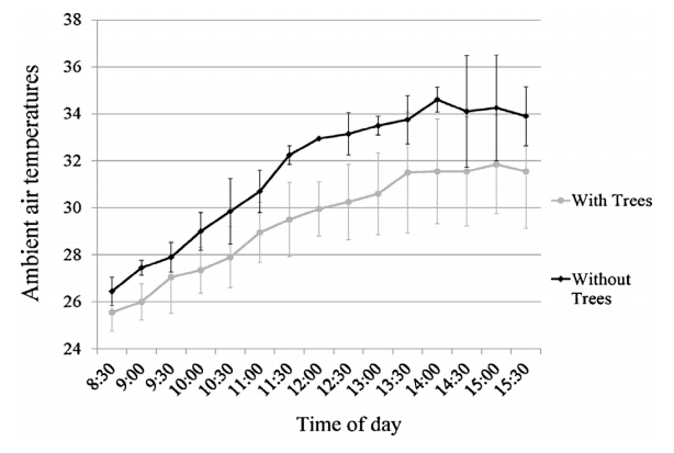 Why is it cooler around trees? – Eco-intelligent™