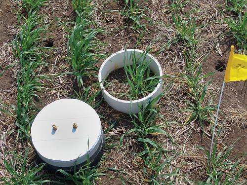 Pools and fluxes in ecosystems – Eco-intelligent™